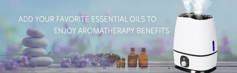 Everlasting Comfort Ultrasonic Cool Mist Humidifier (6L) Review