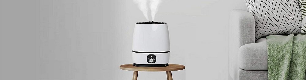 Everlasting Comfort Ultrasonic Cool Mist Humidifier (6L) Review