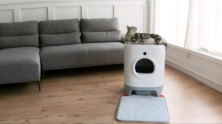 PETKIT vs. Litter-Robot vs. PetSafe Self-Cleaning Cat Litter Boxes